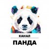 Иконка канала kanalPANDA