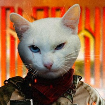 Иконка канала котикс