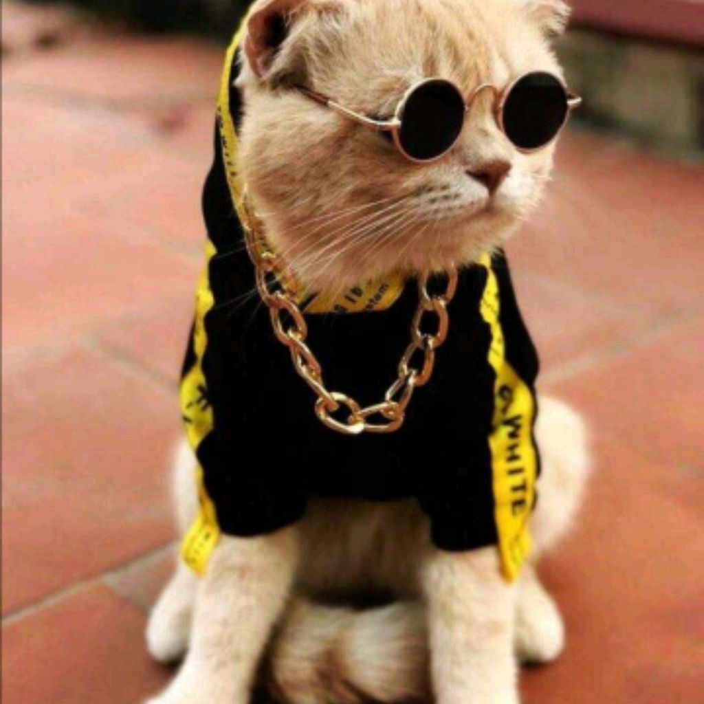 Иконка канала Kotofey