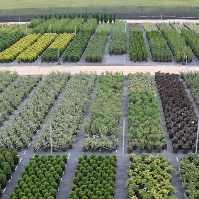 Иконка канала ﻿Опытный садовод