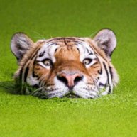 Иконка канала 🔴 ПОДПИШИСЬ 🔴 √