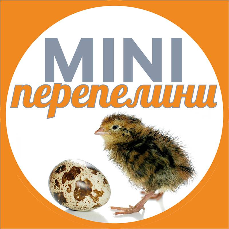 Иконка канала МИНИ ПЕРЕПЕЛИНИ