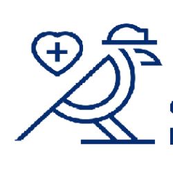 Иконка канала Служба охраны труда НИУ ВШЭ