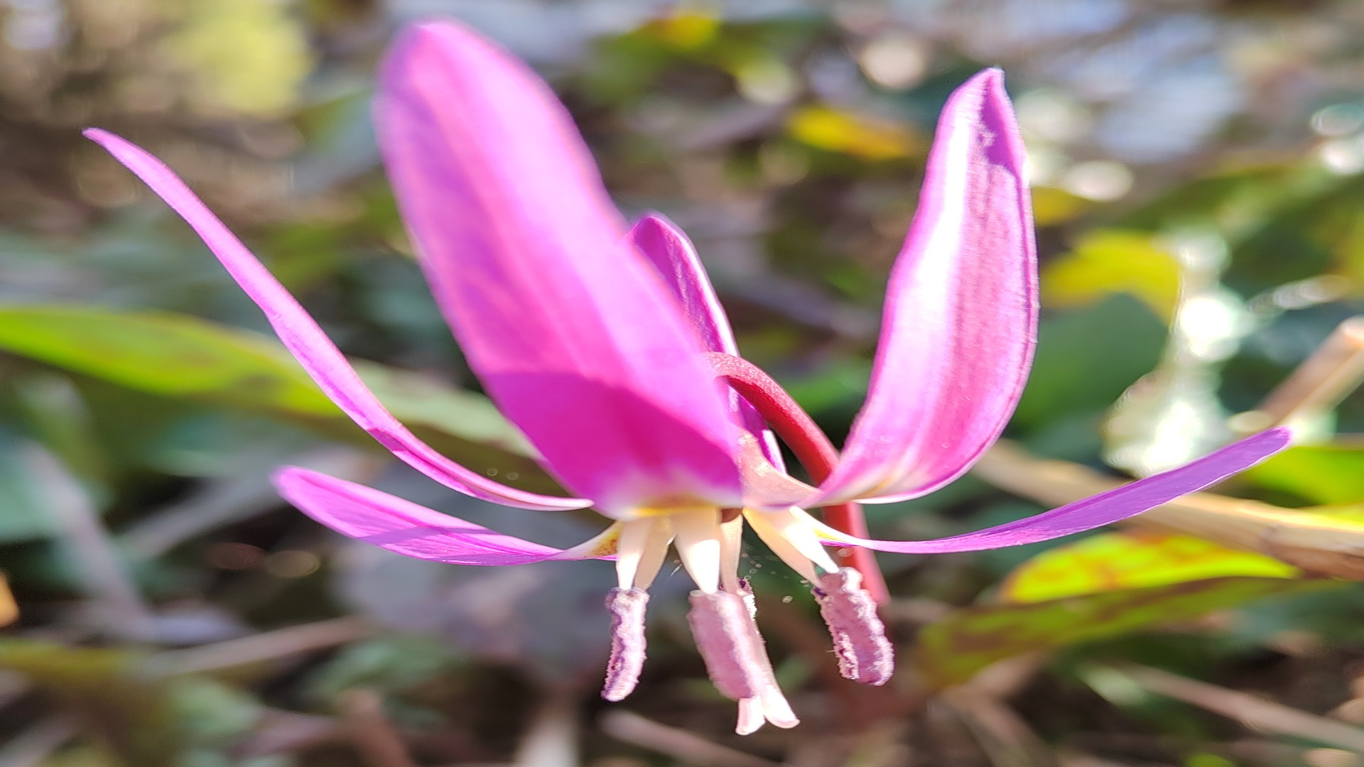 Иконка канала Замечательный Сад