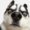 Иконка канала channel29251927