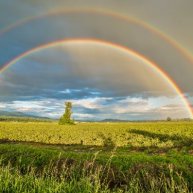 Иконка канала Познание и Осознние