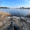 Иконка канала Nature Lover 21rus