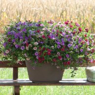 Иконка канала Поделки и идеи для дачи и дома