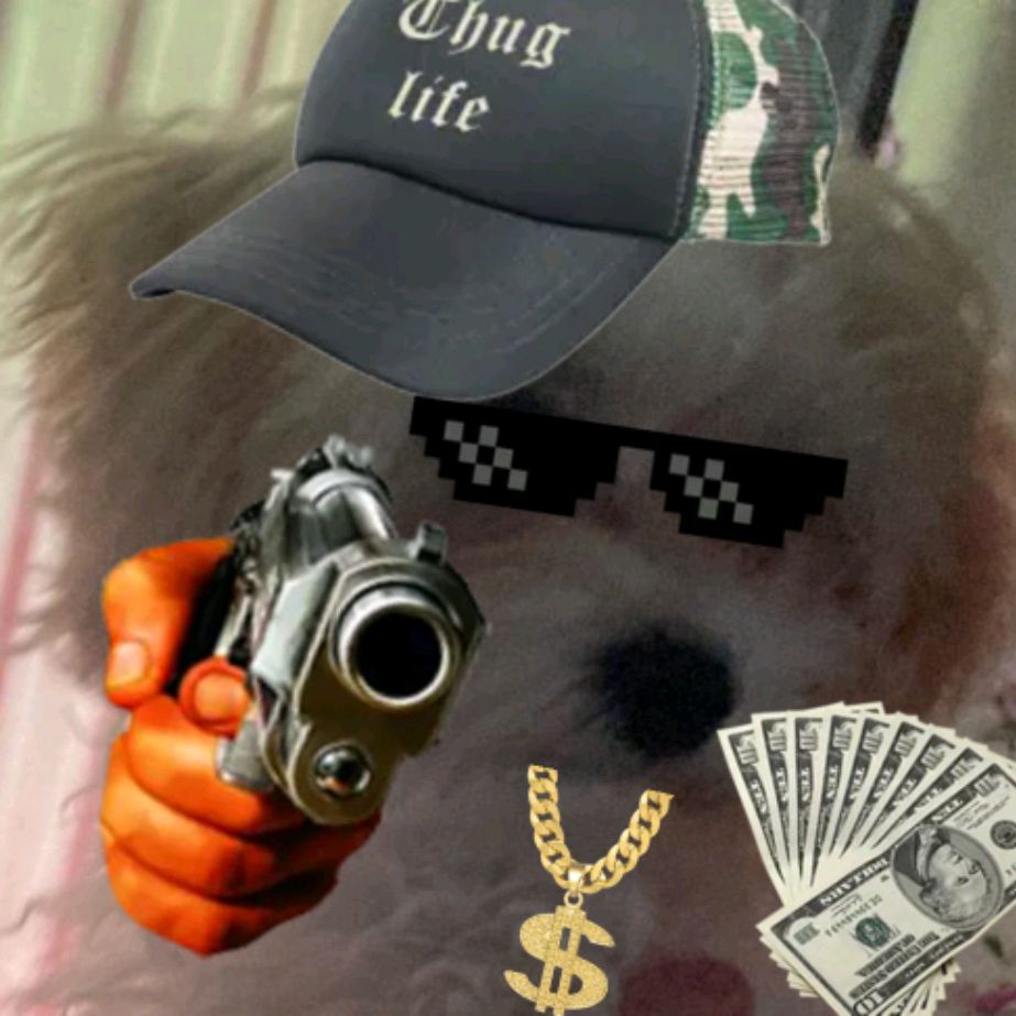 Иконка канала Марси