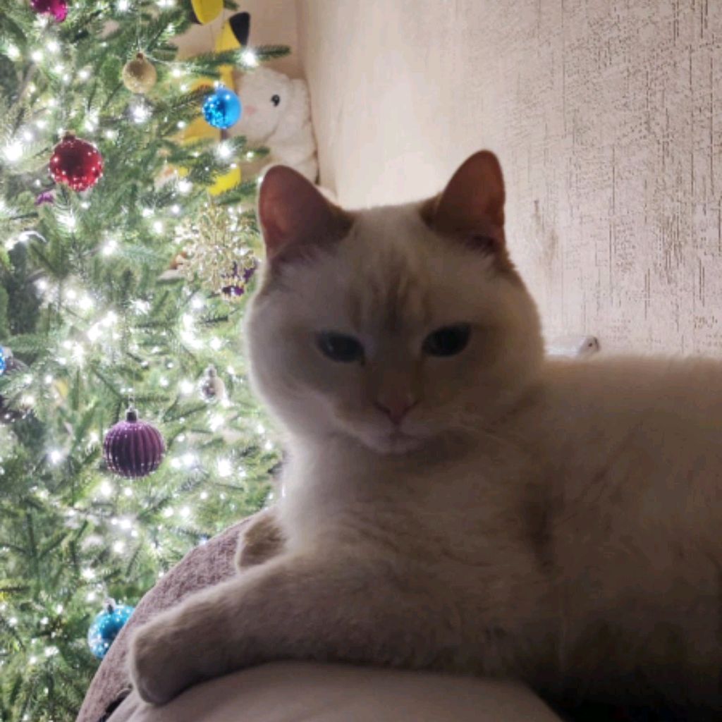 Иконка канала Нася