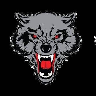 Иконка канала БРЯНСКИЙ VОЛК 🐺