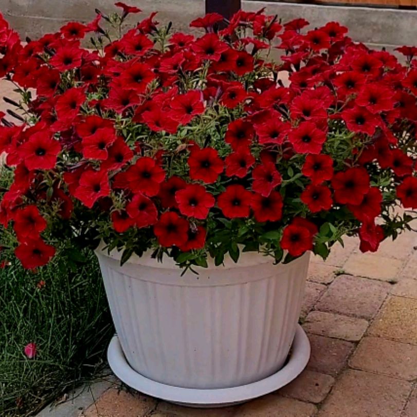 Иконка канала Все обо всём