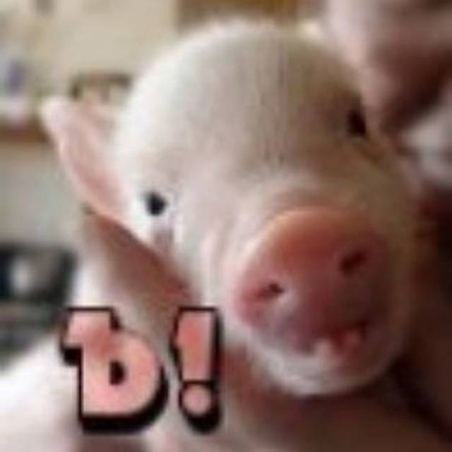 Иконка канала Александр Ткаченко