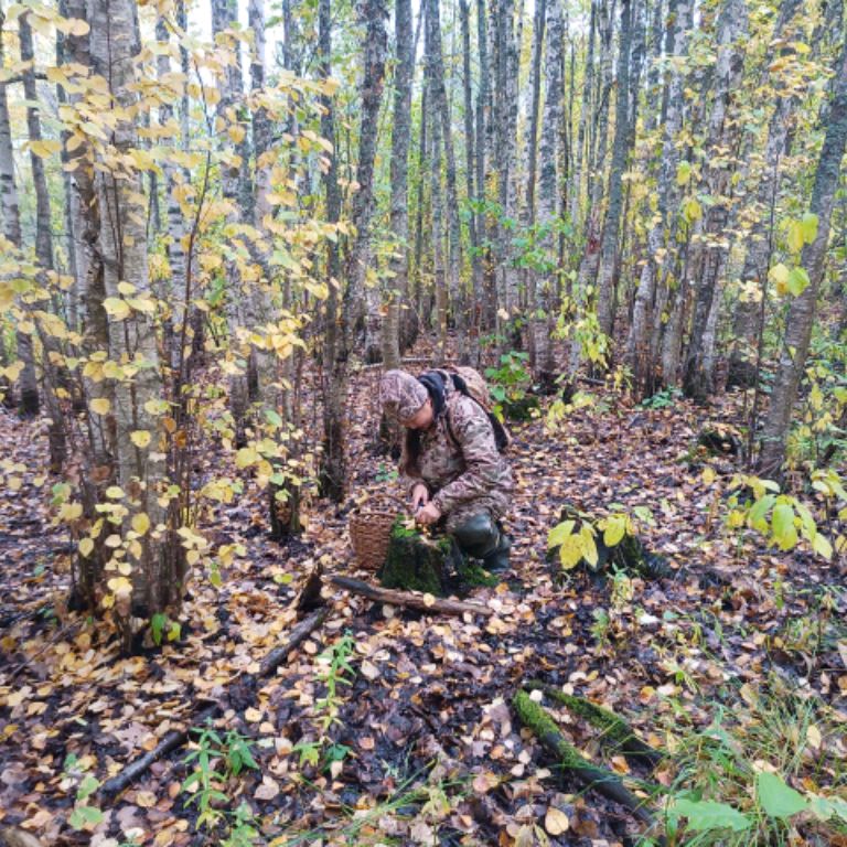 Иконка канала Я-Добытчица