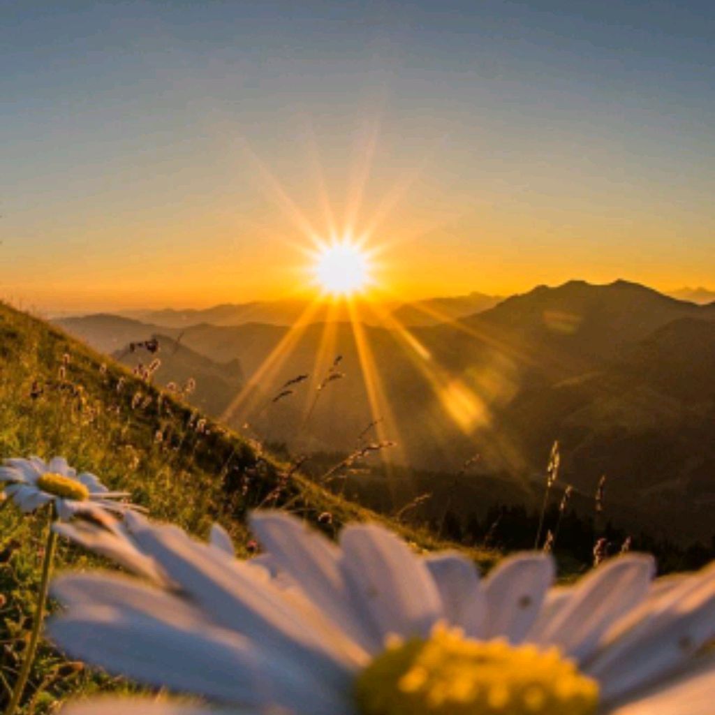 Иконка канала Sovet_Vika