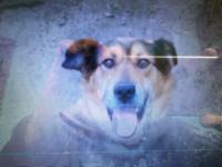 Иконка канала Юрий