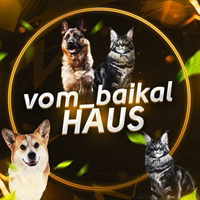 Иконка канала Питомник Собак и Кошек