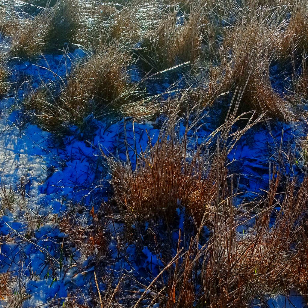 Иконка канала channel Vovan