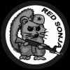 Иконка канала Red Sonja Airsoft