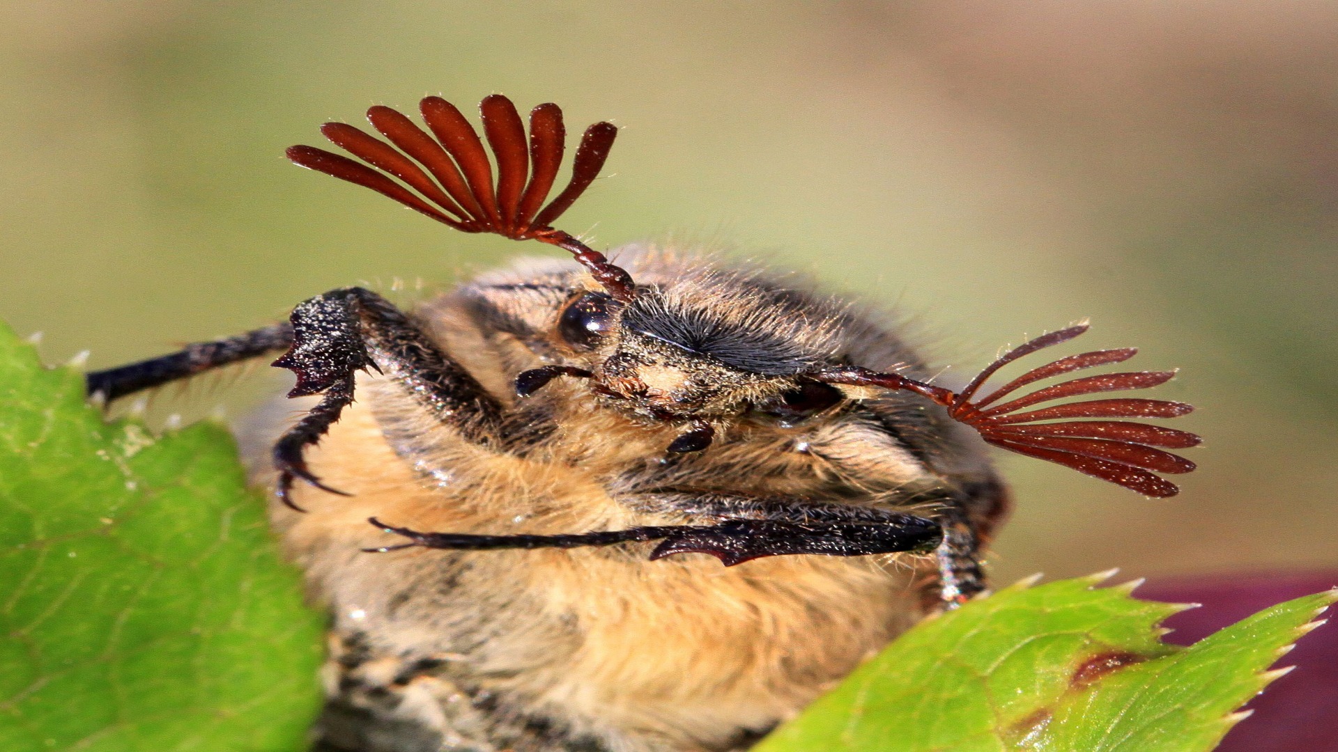 Иконка канала Интересно о природе