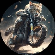Иконка канала Рысь В Ботах