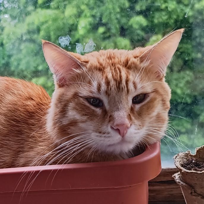 Иконка канала Provider of the Realm