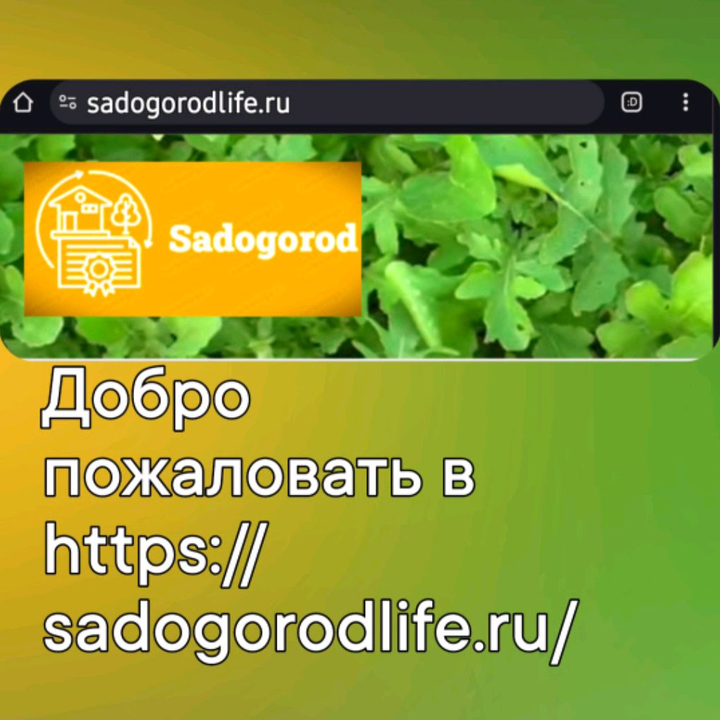 Иконка канала Venertuchubai69