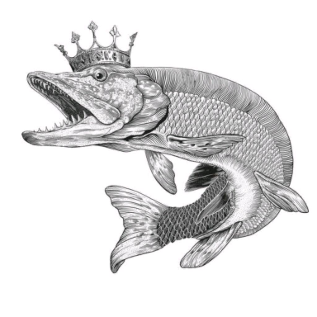 Иконка канала dzot-4