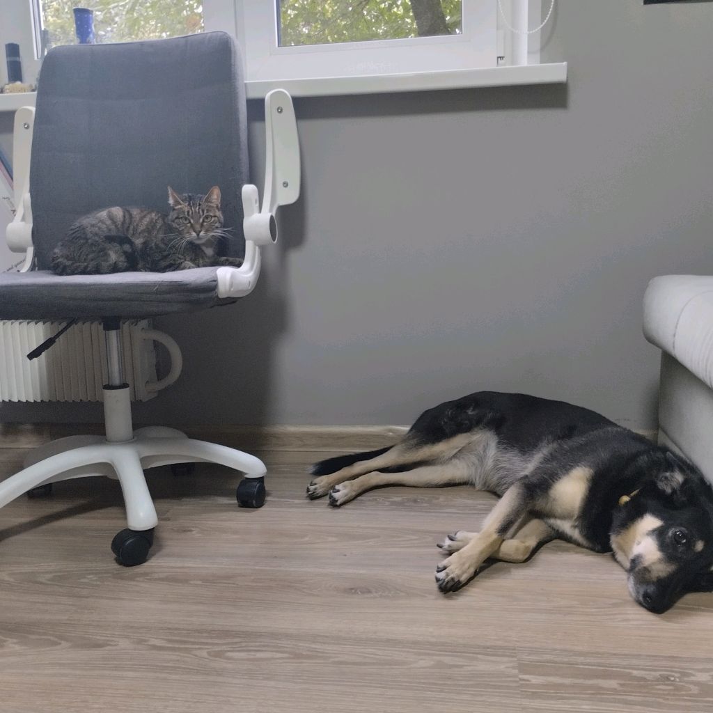 Иконка канала Мумия Джин