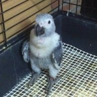 Иконка канала Микель Торрес