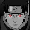 Иконка канала Shisui 🍀