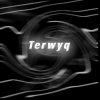 Иконка канала Terwyq