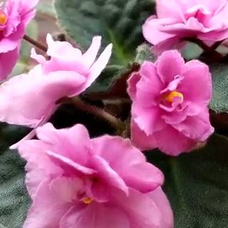 Иконка канала ОТ ЛЕТА ДО ЛЕТА