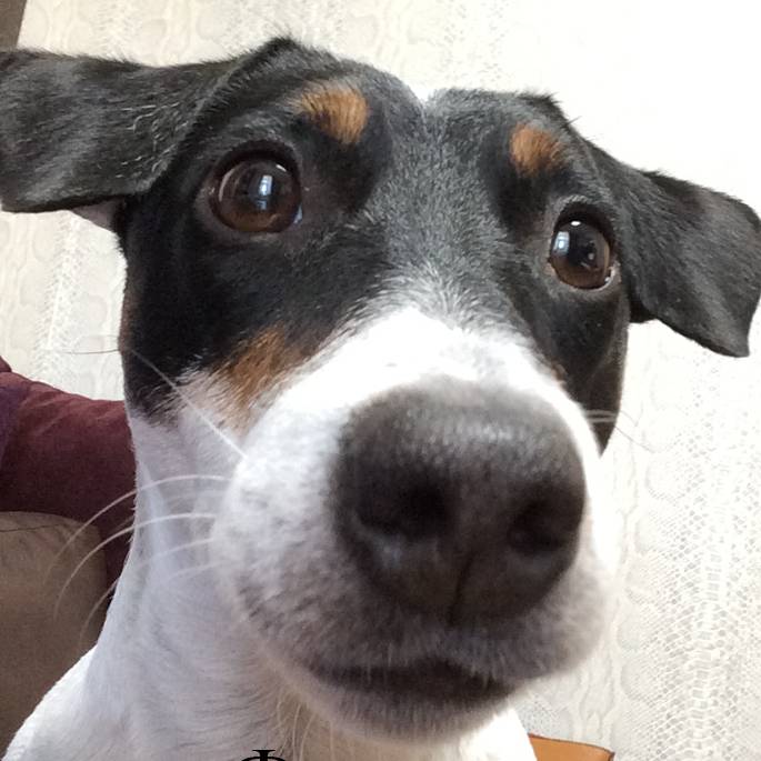 Иконка канала Кузьма