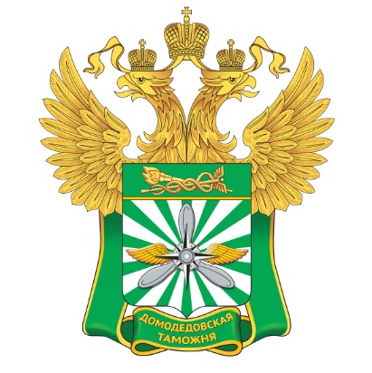 Иконка канала Домодедовская таможня