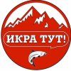 Иконка канала Икра ТуТ Краб/креветки/морепродукты