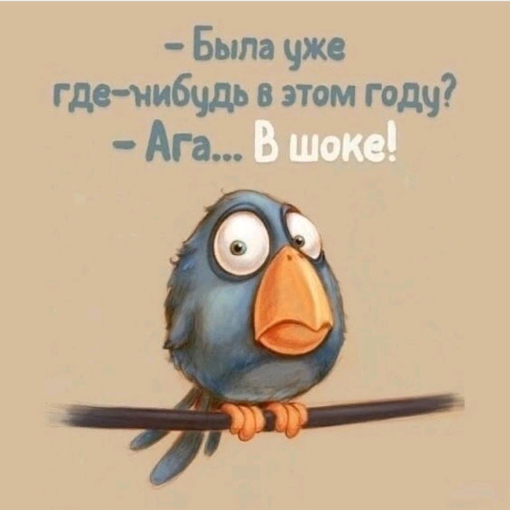 Иконка канала channel29567316