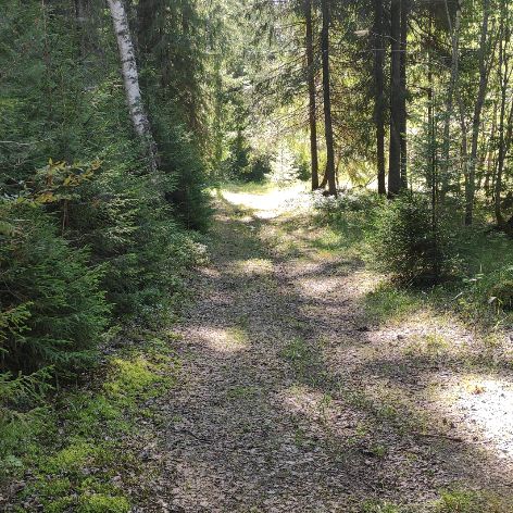 Иконка канала Михаил М