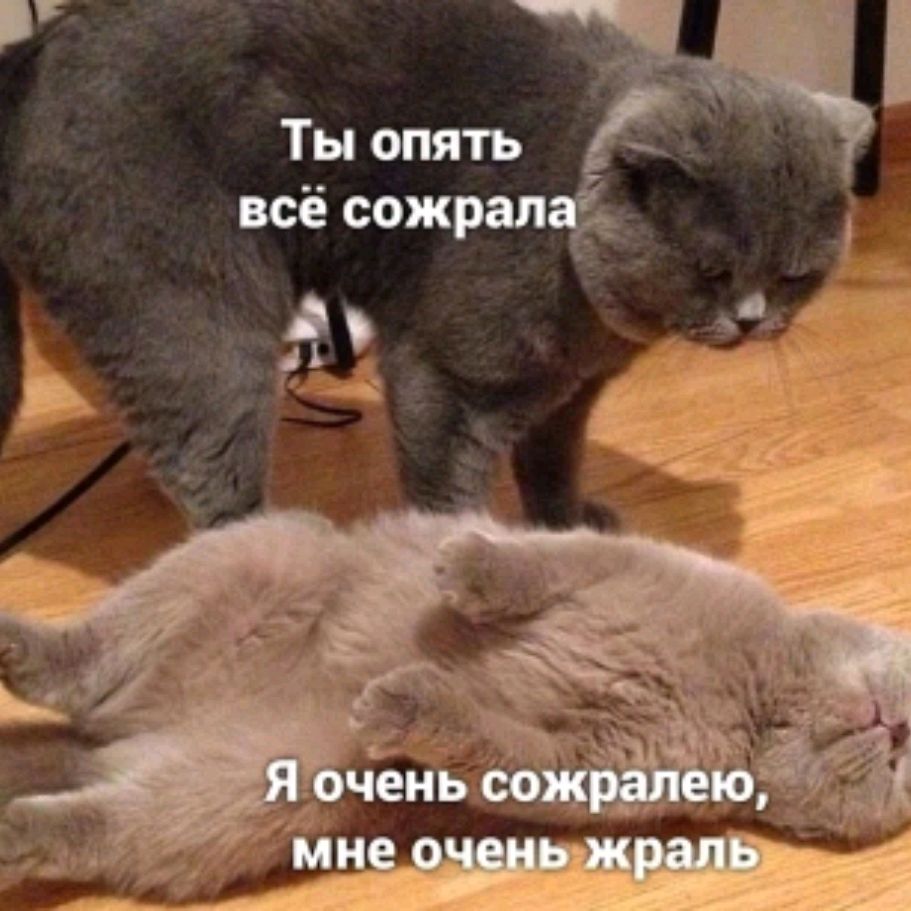 Иконка канала Ппппппп