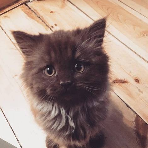 Иконка канала Наталья