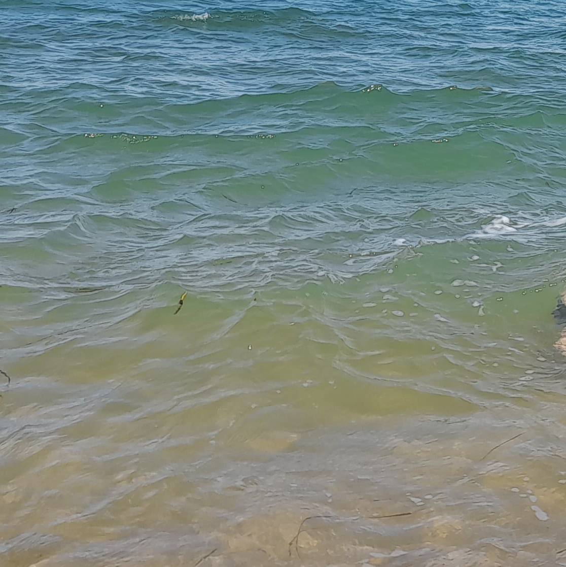 Иконка канала RoSKit