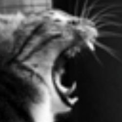 Иконка канала Александр Овчинников