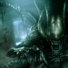 Иконка канала Dragon TV