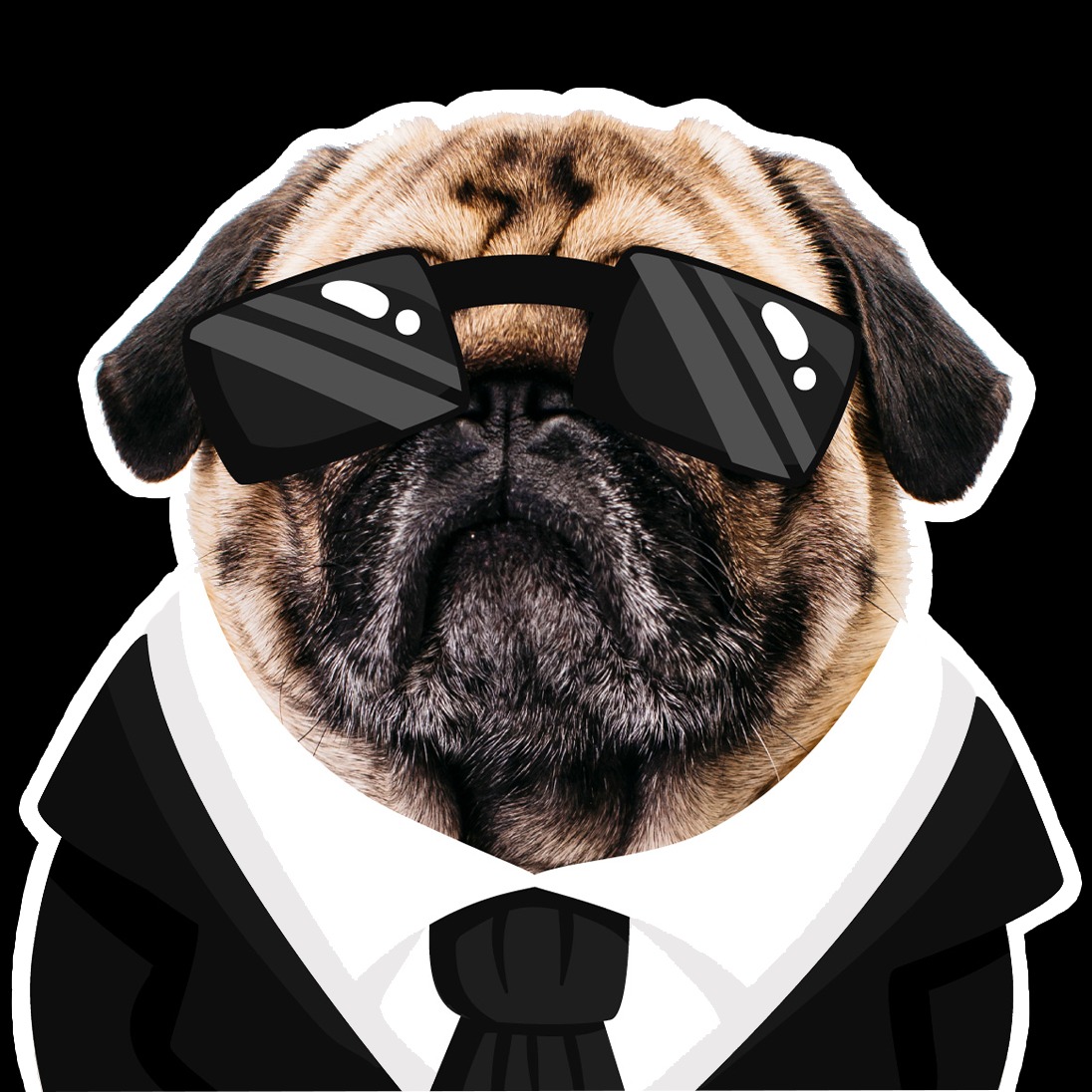 Иконка канала СМЕШНЫЕ ВИДЕО МИЛЫЕ ЖИВОТНЫЕ