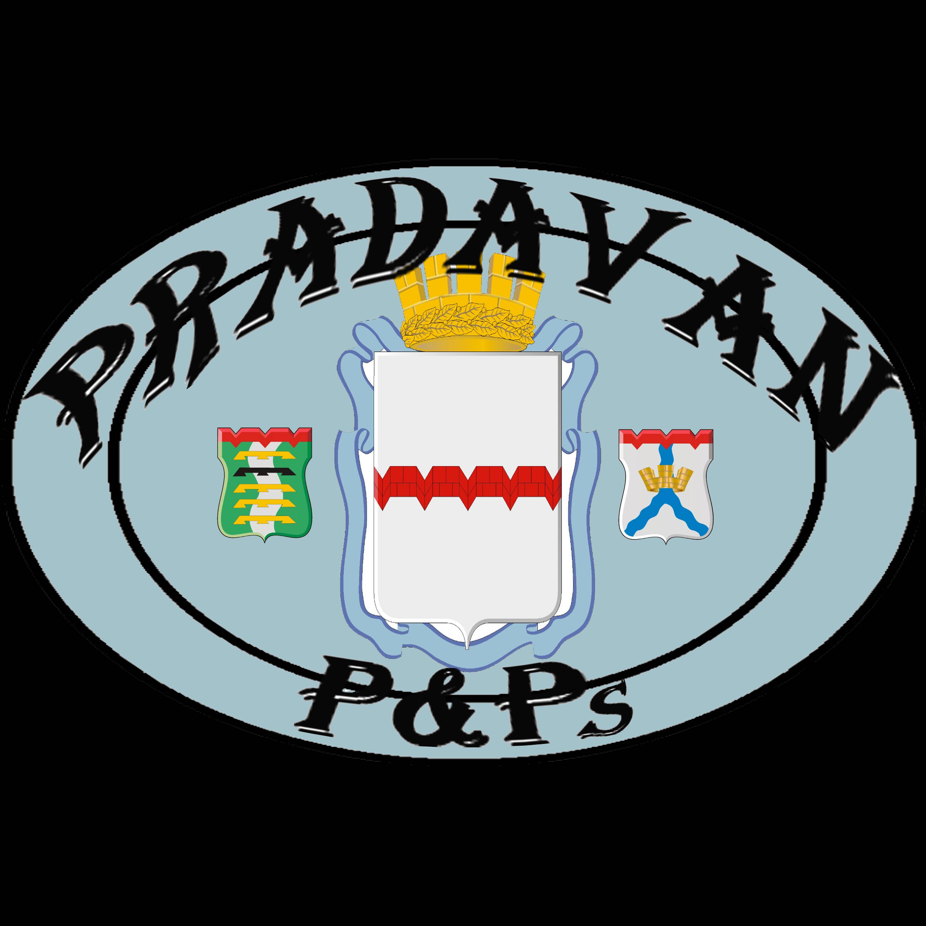 Иконка канала Пиявин Сергей