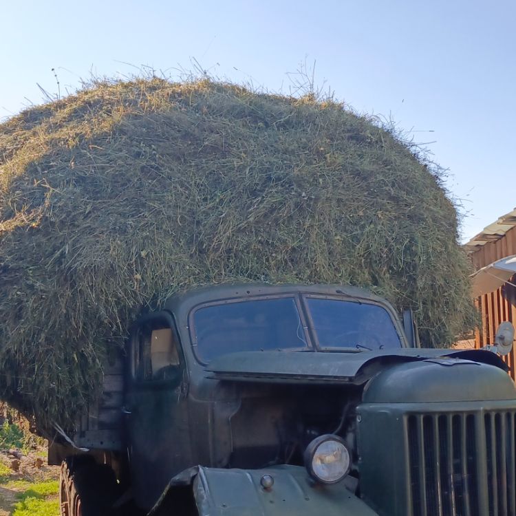 Иконка канала telengit