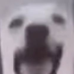 Иконка канала channel41499931