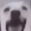Иконка канала channel41499931