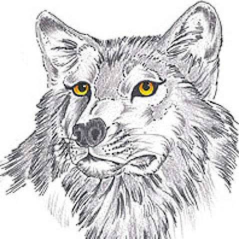 Иконка канала Дмитрий