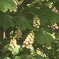 Иконка канала Немного обо всём